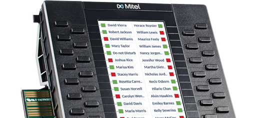 Neocenter, Mayorista de Telefonía IP y Videoconferencia